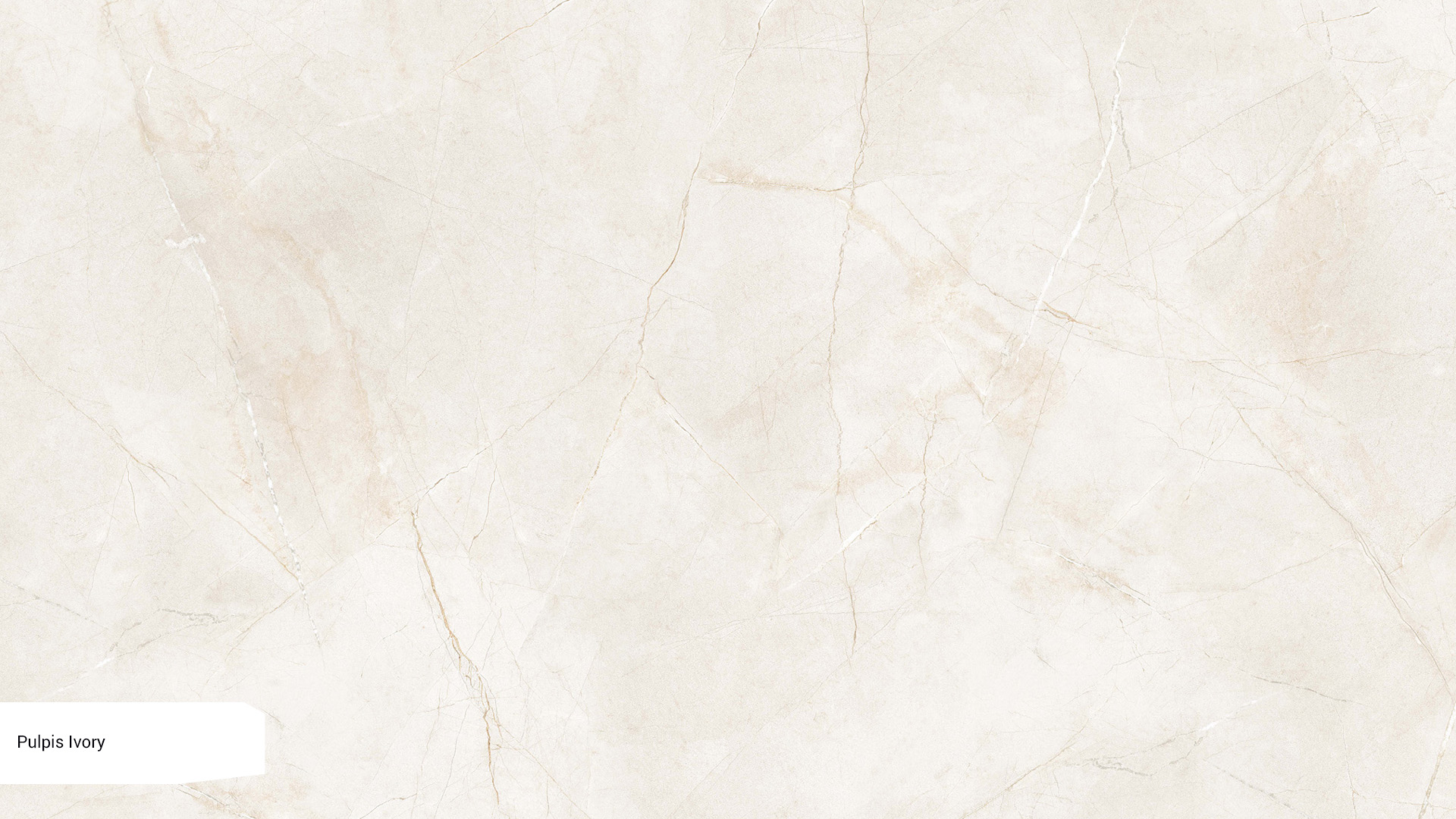 Pulpis Ivory | ArchiType